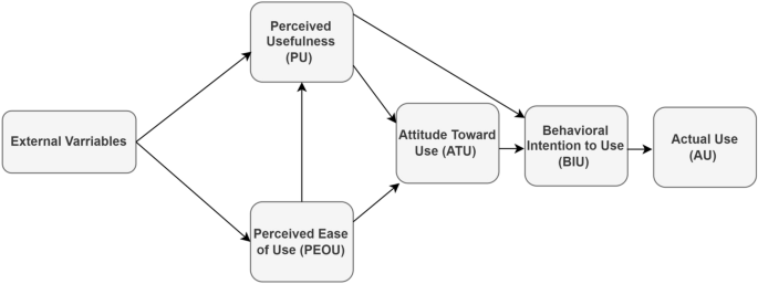 Adoption of AI-coding assistants in programming education: exploring ...