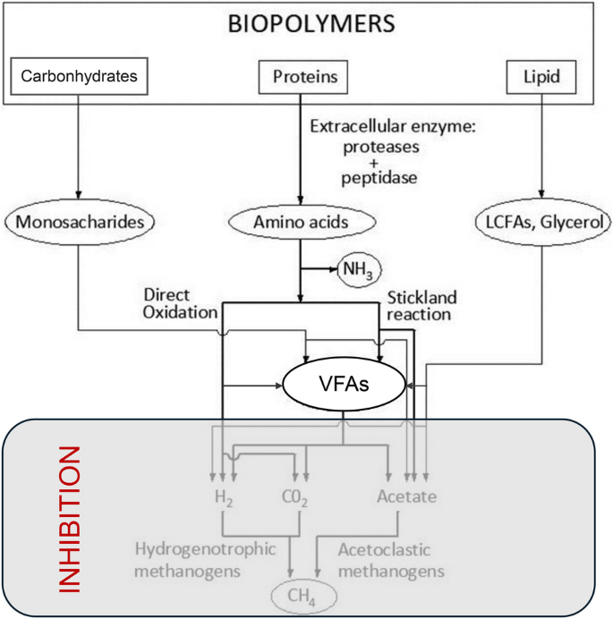 Production of Volatile Fatty Acids from Organic-Rich Waste Streams ...