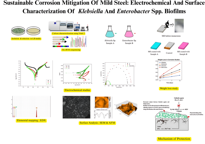 Sustainable Corrosion Mitigation of Mild Steel: Electrochemical and ...