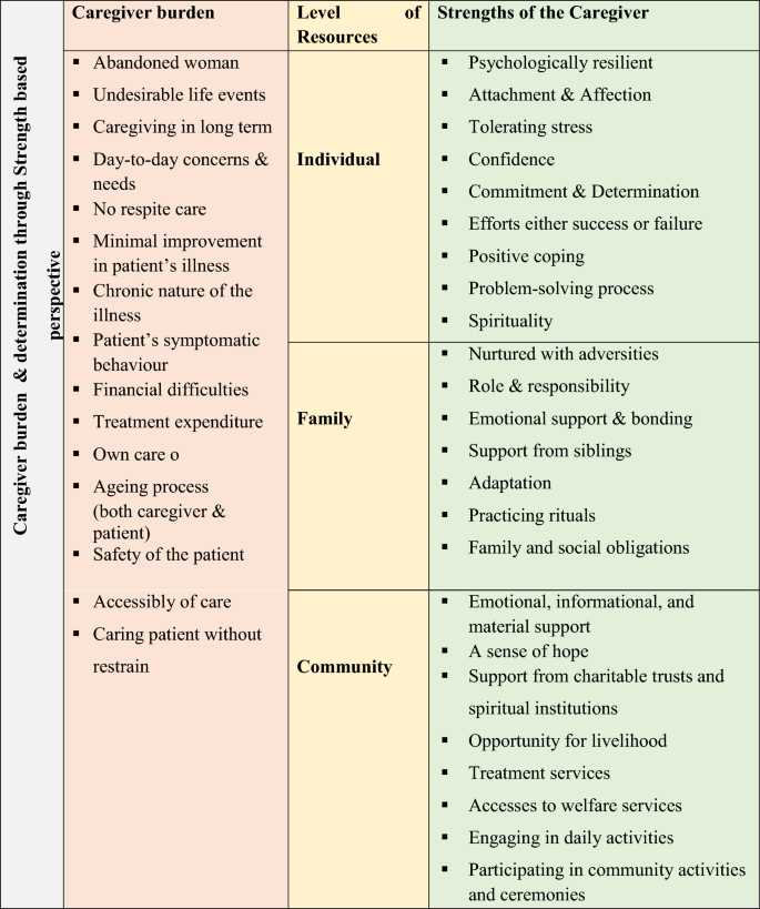 Burden and Determination of Caregivers for Individuals with Severe ...