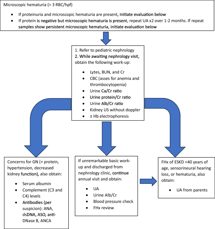 Evaluation and Management of Hematuria in Children | Current Treatment ...