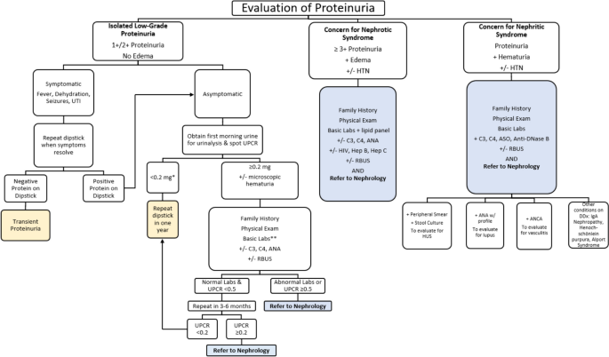 Evaluation and Management of Proteinuria in Children | Current ...