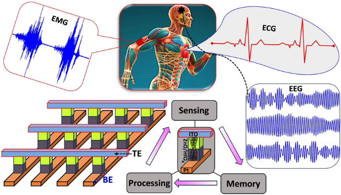 Highly Efficient Back-End-of-Line Compatible Flexible Si-Based Optical Memristive Crossbar Array ...