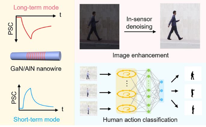 Ultrathin Gallium Nitride Quantum-Disk-in-Nanowire-Enabled Reconfigurable Bioinspired Sensor for ...