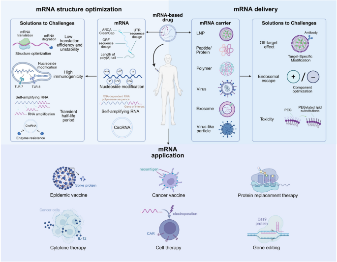 The mRNA-Based Innovative Strategy: Progress and Challenges | Nano ...