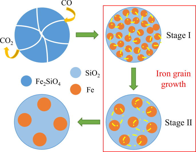 Growth Behavior of Iron Grains During Reduction Roasting of Fayalite ...