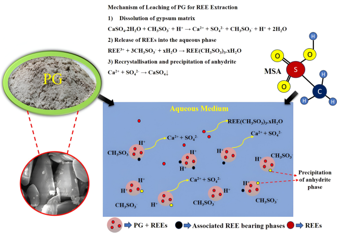 Studies on the Extraction of Rare Earth Elements from Phosphogypsum ...