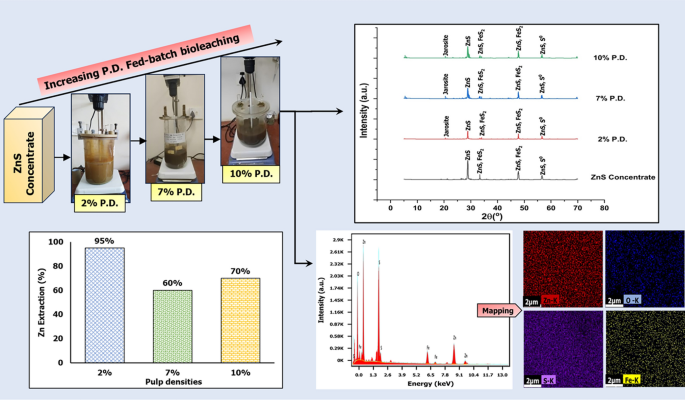 Innovative Approach in Fed-Batch Bioleaching of Zinc Sulfide ...