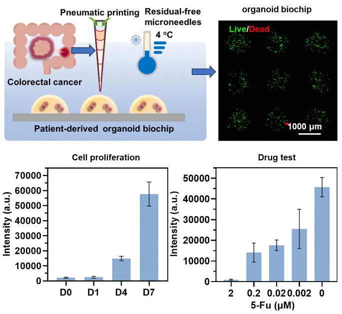 Printable and biocompatible hydrogels for residual-free and high ...