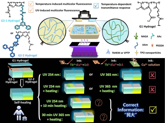 Hydrogels with UCST behavior and UV/temperature-induced multicolor ...