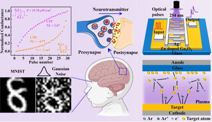 Zn-doped Ga2O3 based two-terminal artificial synapses for neuromorphic computing applications ...