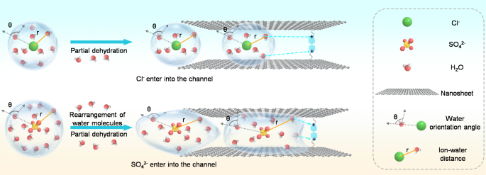 Reconfiguring hydration shells by rigidly confined interaction within ...