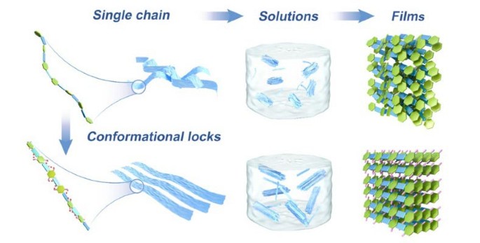 Tuning the physicochemical properties of conjugated polymers via ...