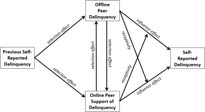 Online Peers and Delinquency: Distinguishing Influence, Selection, and ...
