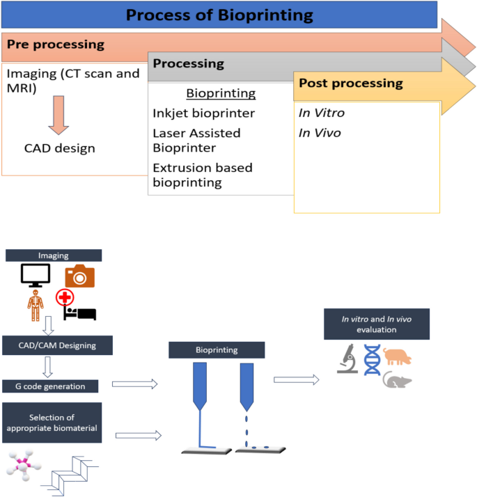3D Bioprinting: a Comprehensive Review of 3D Bioprinting, Biomaterials ...