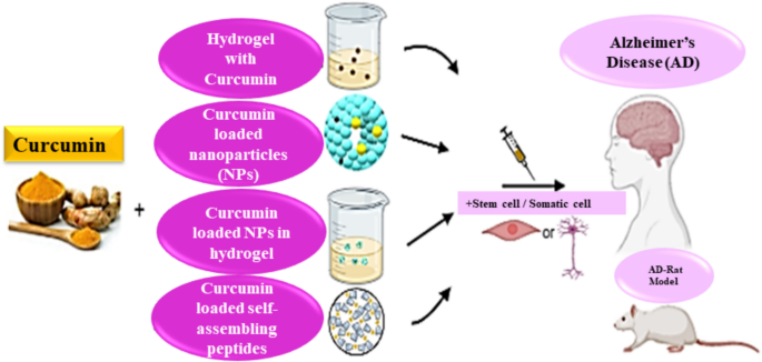 Curcumin Delivery in Regenerative Medicine for Alzheimer’s Disease ...