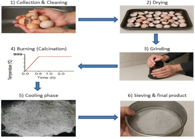 Assessing the Durability of Eco-Friendly Mortars with Treated and ...