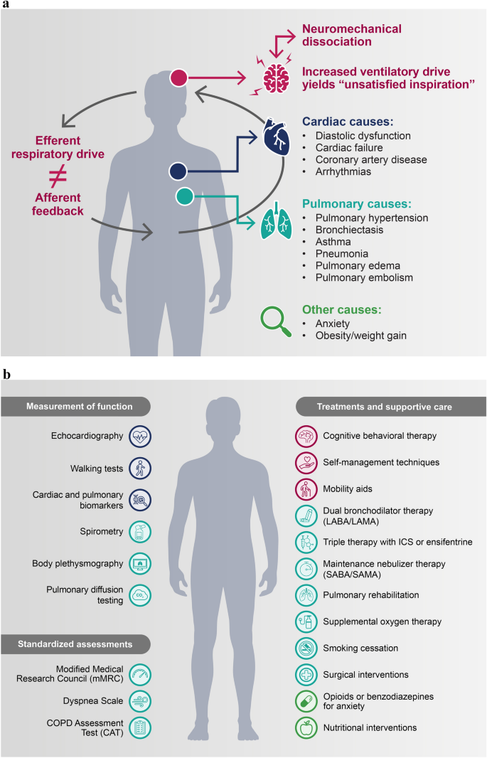 Dyspnea in Chronic Obstructive Pulmonary Disease: Expert Assessment of ...