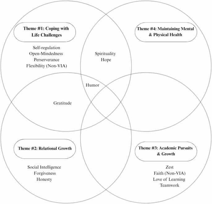 Navigating the College Experience: the Role of Character Strengths ...