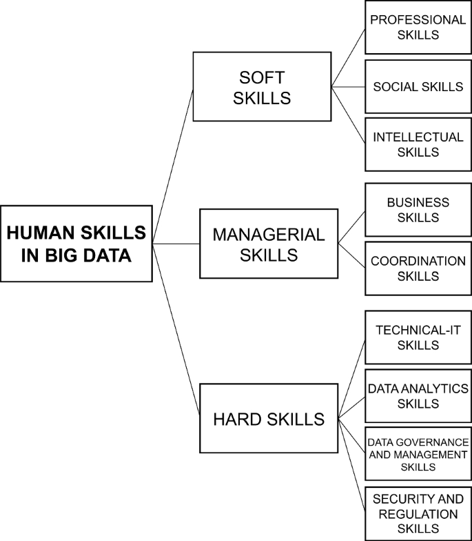 Strategic management of human skills in Big Data initiatives: from SLR ...