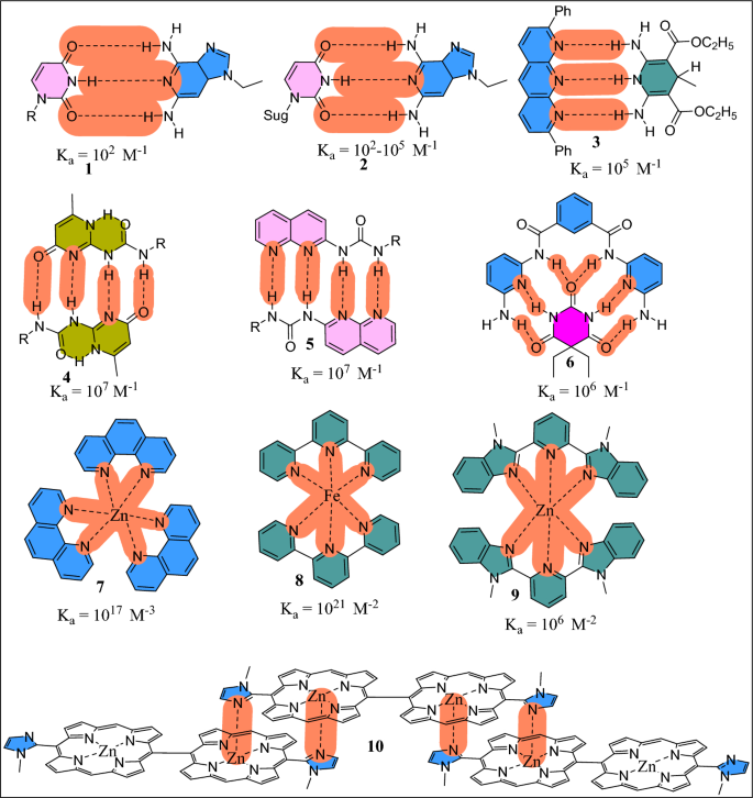 The Hamilton Receptor in Supramolecular Polymer Sciences | Topics in ...