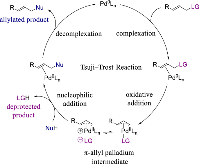 Palladium-Catalyzed Tsuji–Trost-Type Reactions in Bioorthogonal ...