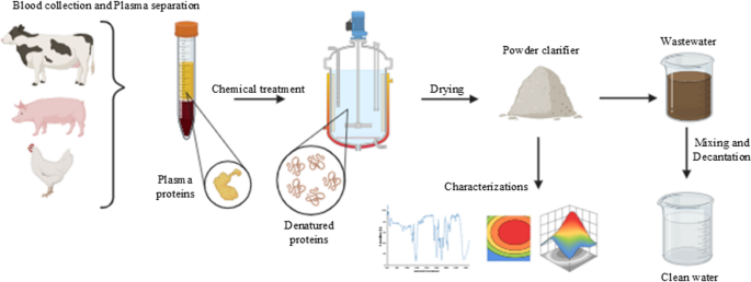 Optimization and Performance Assessment of a Novel Bioflocculant from ...