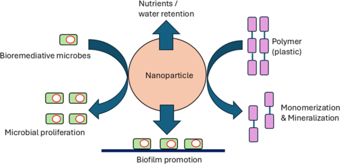 Nanomaterials for the management of plastic waste: a way combating ...