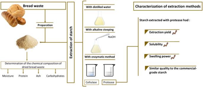 Valorization of bread waste, a nonconventional feedstock for starch ...