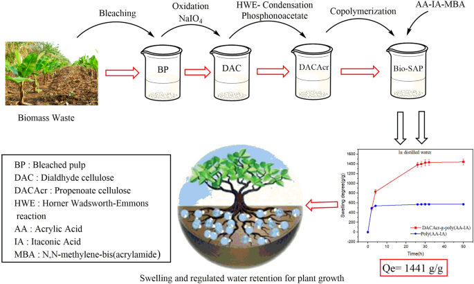 New polysaccharide-based bio-super-absorbents for water stress control ...