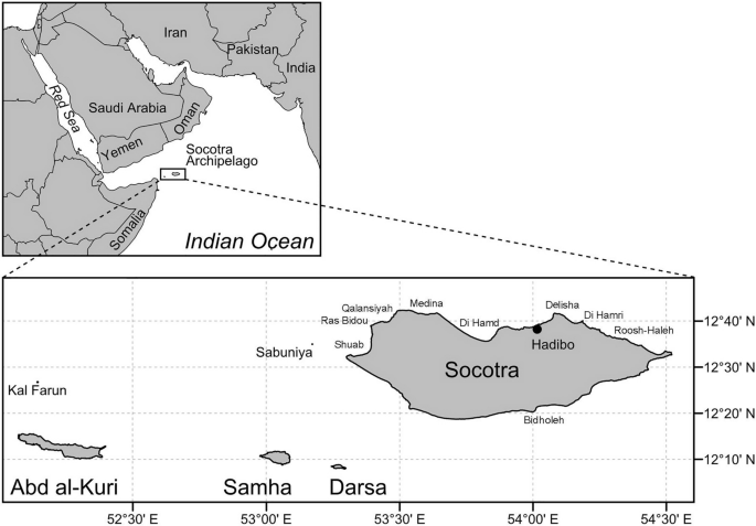 Surgeonfishes (Teleostei: Acanthuridae) of the Socotra Archipelago ...