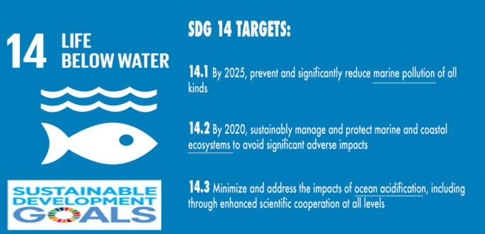 The Contribution of the South Asian Seas (SAS) Program to SDG 14: A ...