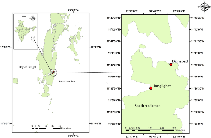 Length–Weight Relationships and Relative Condition Factor of Six ...