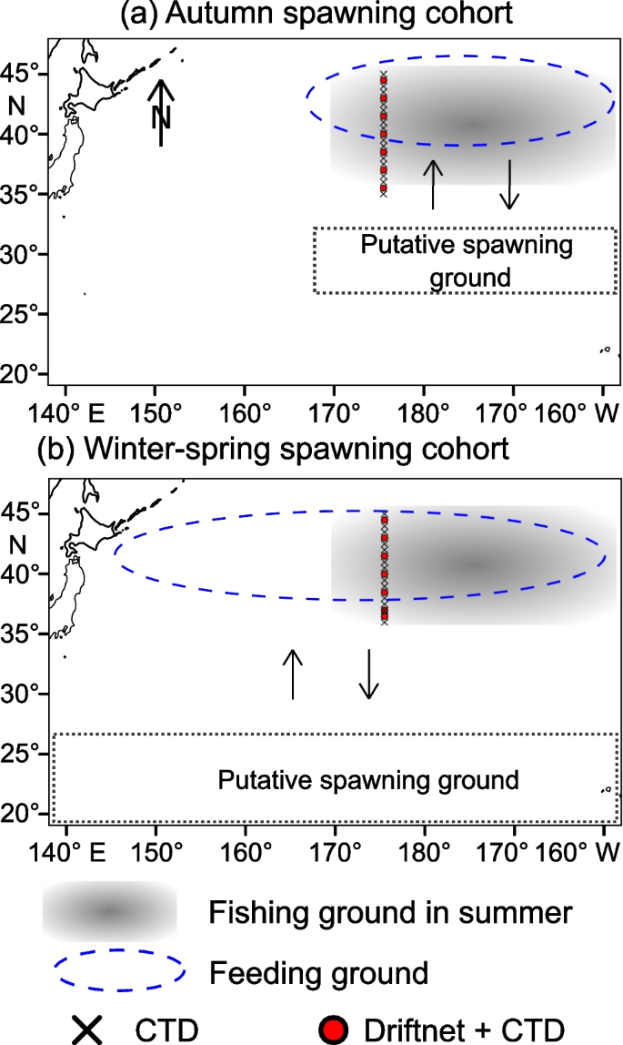 Annual Variability in the Horizontal Distribution and Biological ...
