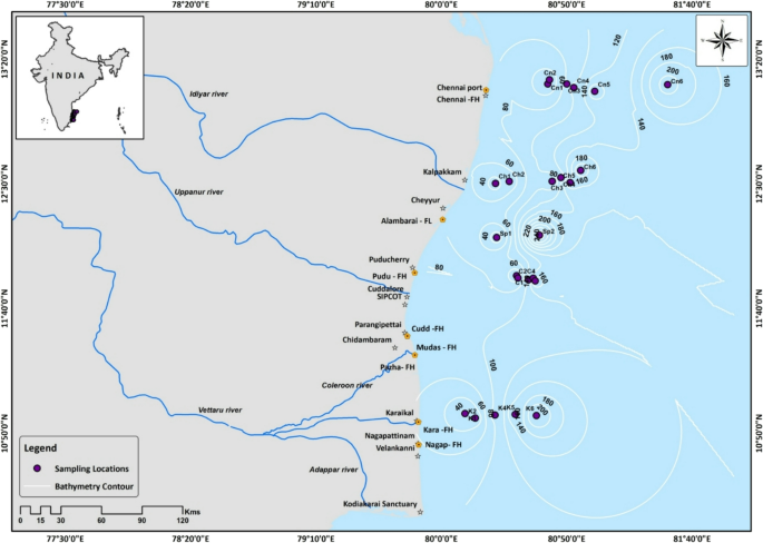 Trophic Relationship of Macrobenthos in the Southwest Bay of Bengal: A ...