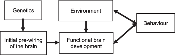 Cognitive Neuroscience and Neurodiversity: Implications for Autistic ...