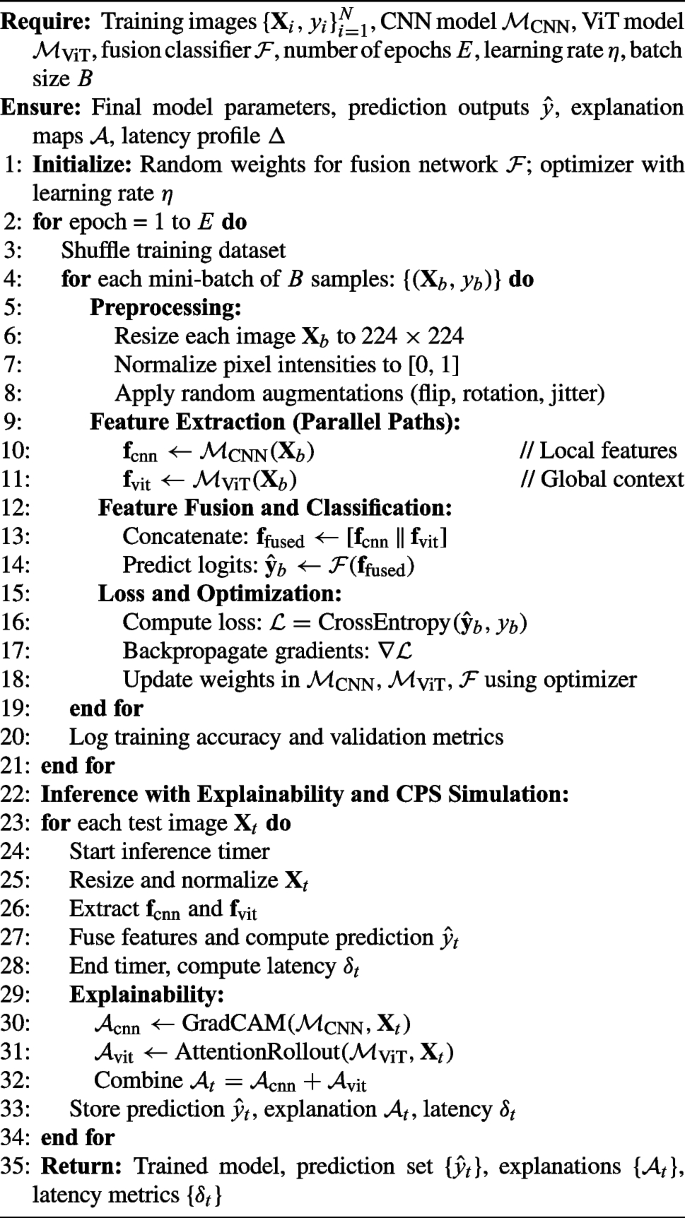 Fusion of Vision Transformer and Convolutional Neural Network for ...