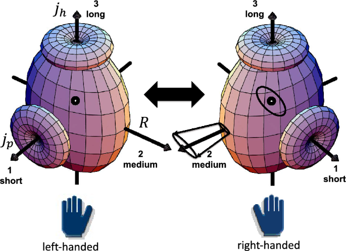 First evidence for chiral wobbling of triaxial nuclei | Nuclear Science ...