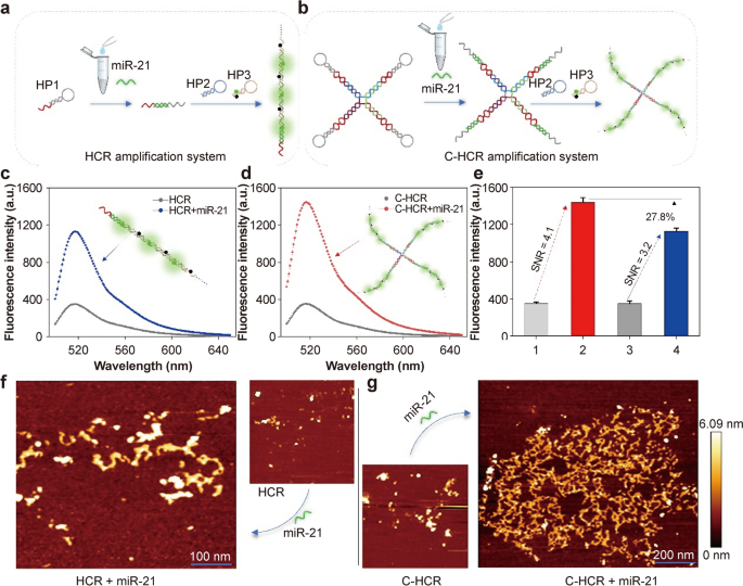 DNA Scaffold-Enhanced Hybrid Chain Reaction for Molecular Diagnosis of ...