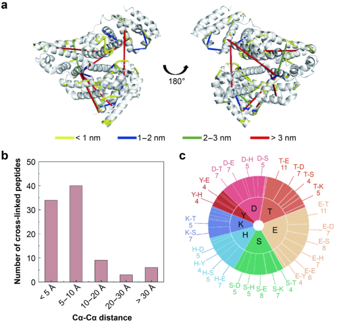 Multi-Targeting Crosslinker for ROS-Triggered Protein Conformation ...