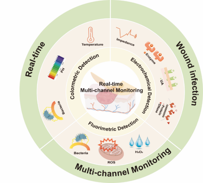 Real-time Monitoring of Wound Infection Based on Multi-channel ...