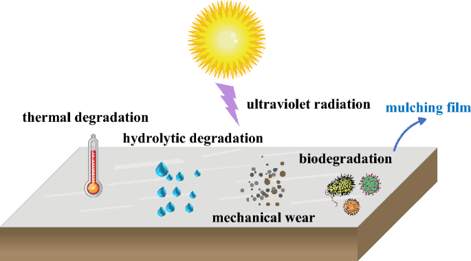 Review of Soil Microplastic Degradation Pathways and Remediation ...