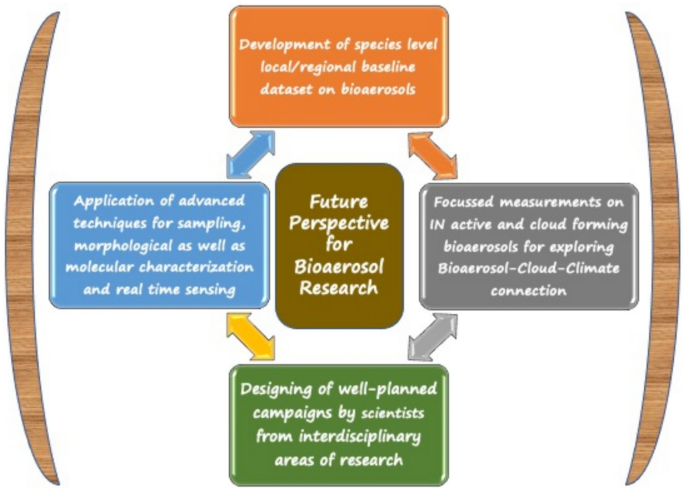 Unveiling the Role of Bioaerosols in Climate Processes: A Mini Review ...