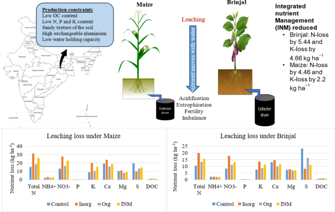 Leaching Loss of Nutrients: A Quantification Approach and Management in ...
