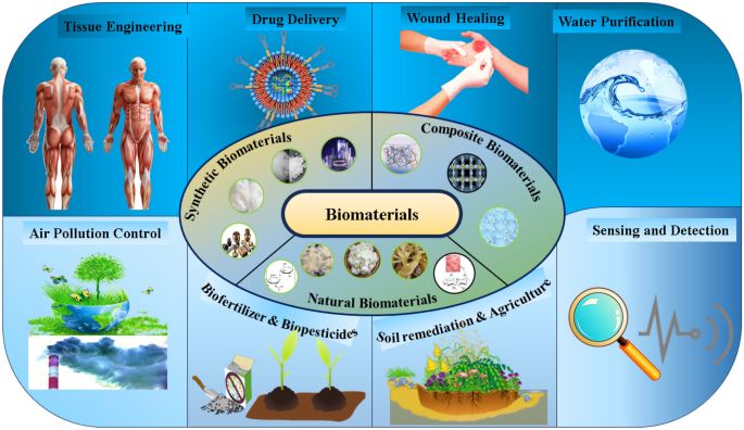 Recent Advancements in Biomaterial Applications: A Review ...
