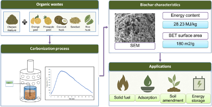 Physicochemical Characterization and Potential Application of Biochar ...