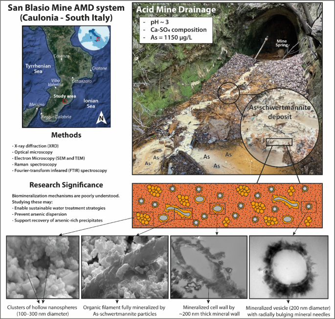 Microbial Mediation on As-schwertmannite Formation in Acid Mine ...