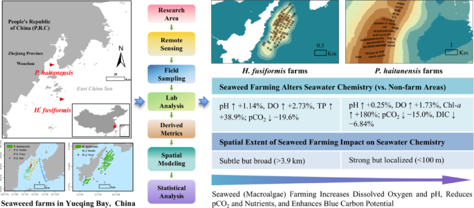 Macroalgae Farming Increases DO and pH, Reduces pCO2 and Nutrients, and ...