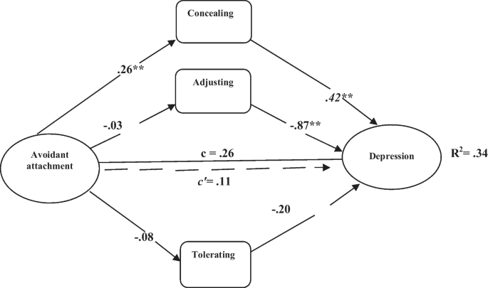 The Validation of Affective Style Questionnaire in Turkish Culture and ...