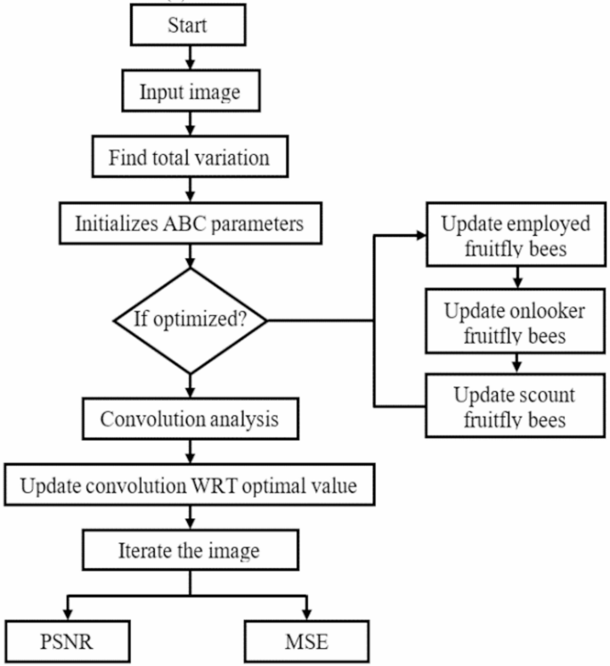Enhancing underwater image quality with artificial bee colony and fruit ...
